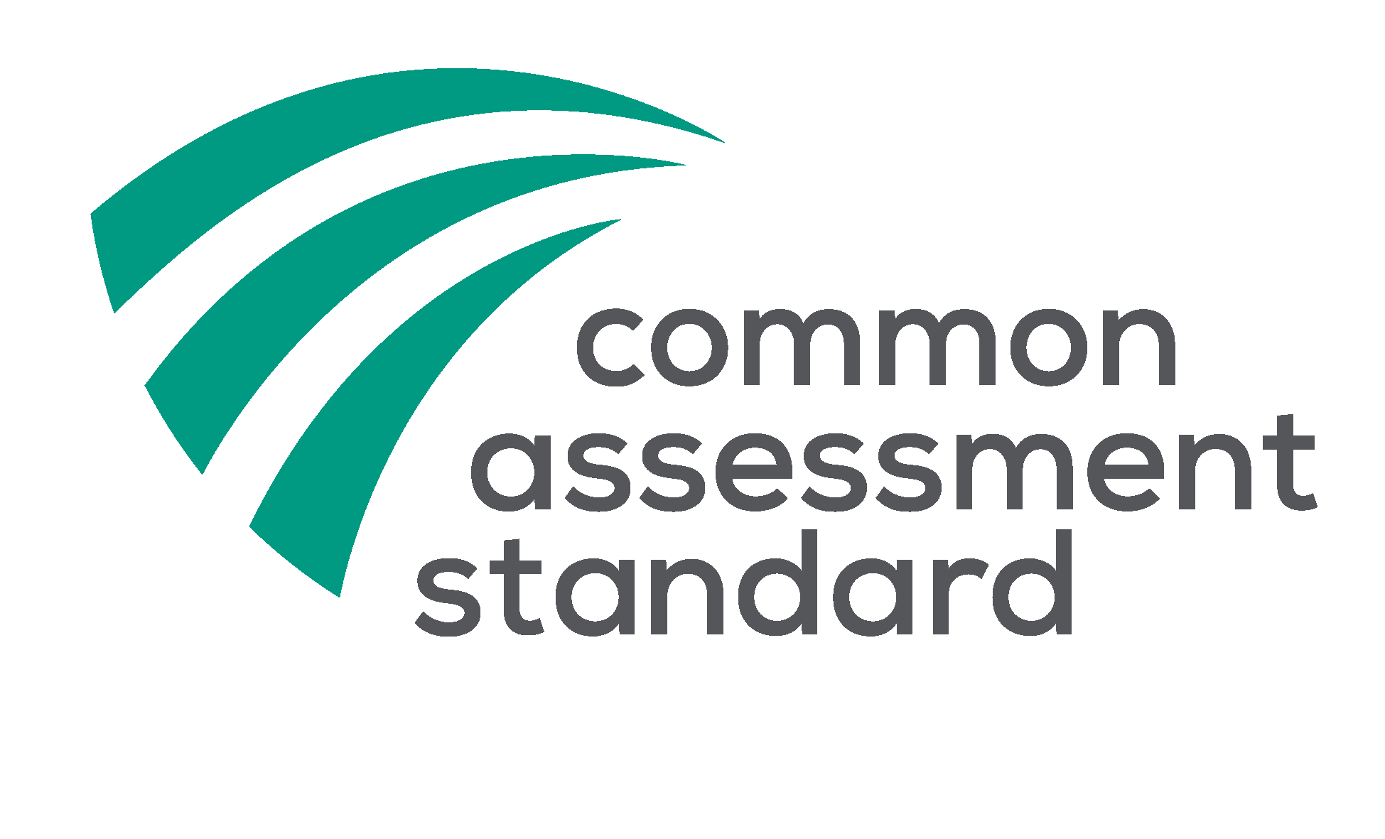 CHAS Update on Common Assessment Standard for BDA Members - British ...