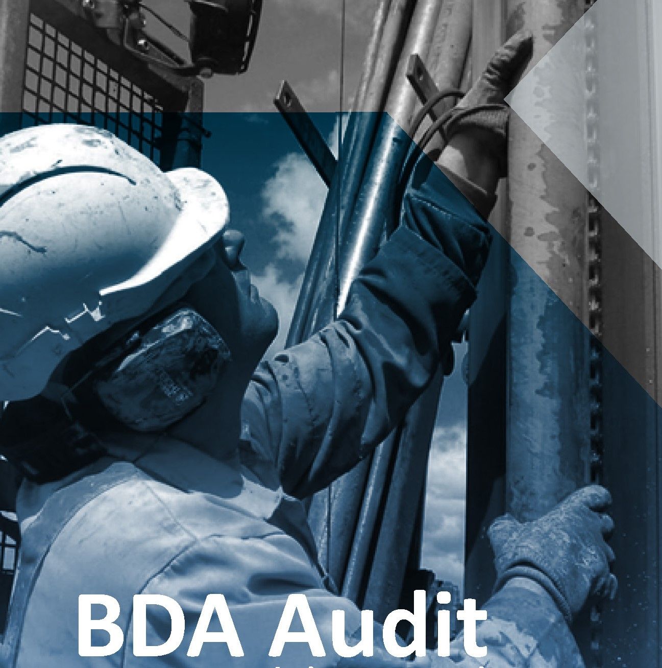 The BDA Annual Audit: A Vital Tool for Safety and Quality Assurance ...
